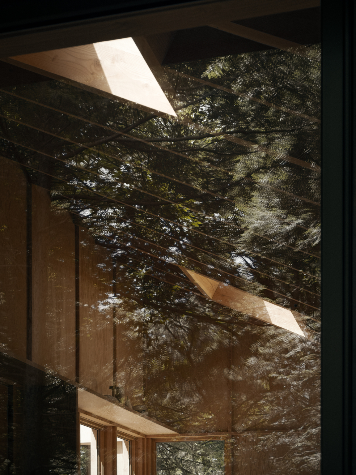 Smoke Lake by Anya Moryoussef Architect - Project Feature - The Local ...