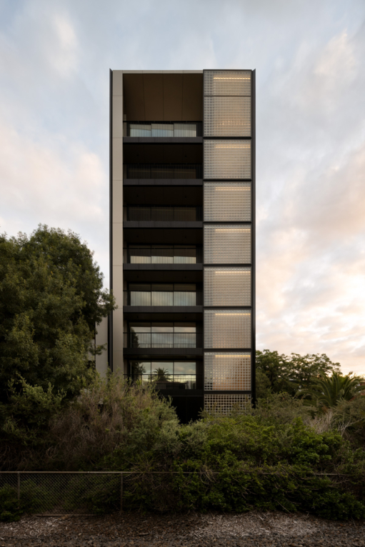 Splinter Society - The Local Project