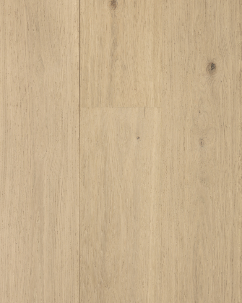 Capri Light Feature by Forte - Product Directory - The Local Project