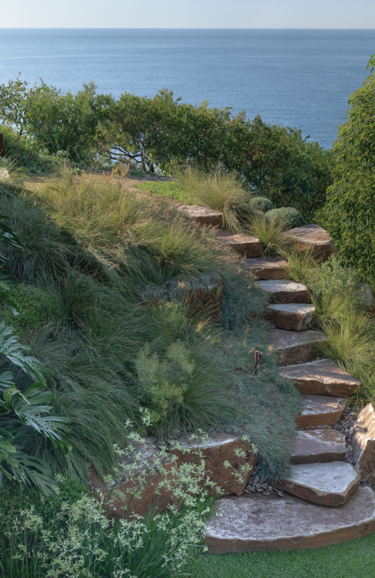 Gardens - The Local Project