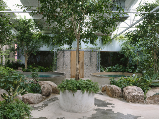 Inner Studio - The Local Project