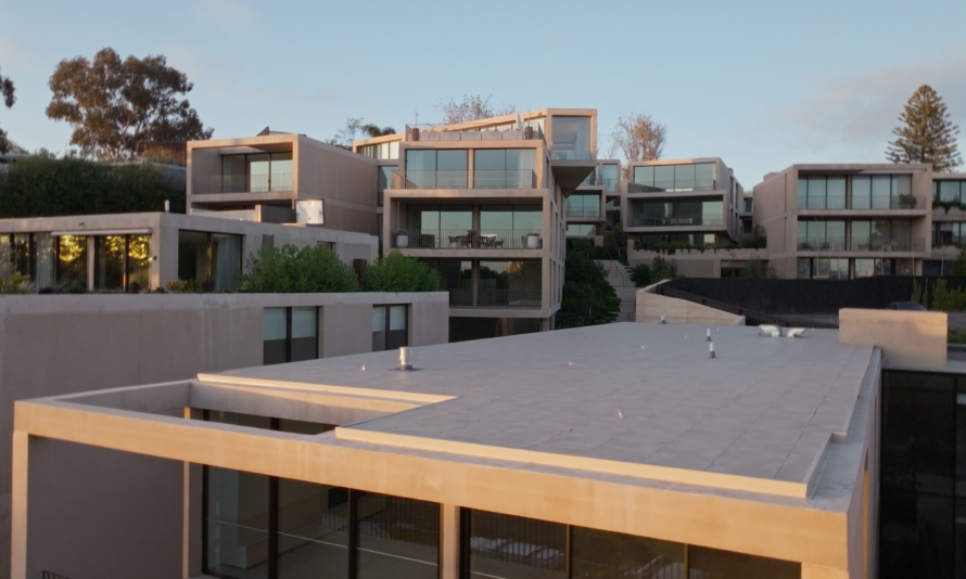 Video - The Local Project