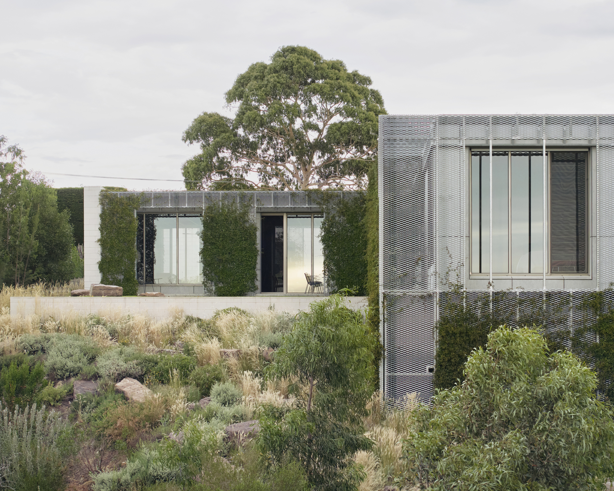Hedge and Arbour House by Studio Bright - The Local Project
