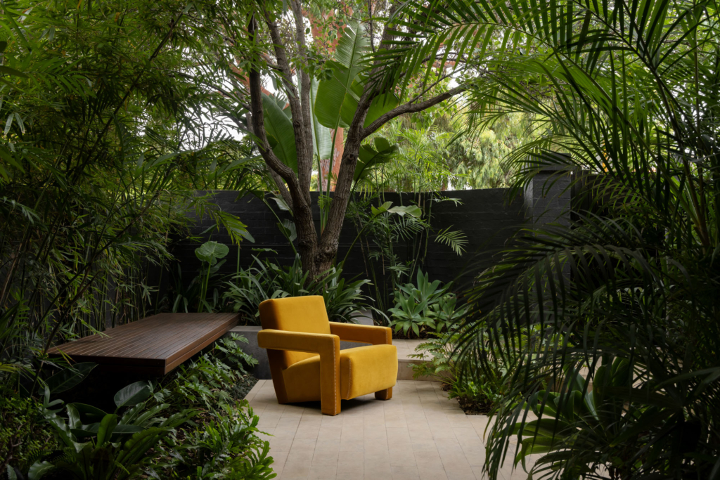 Townshend by Adyn Kelly - The Local Project